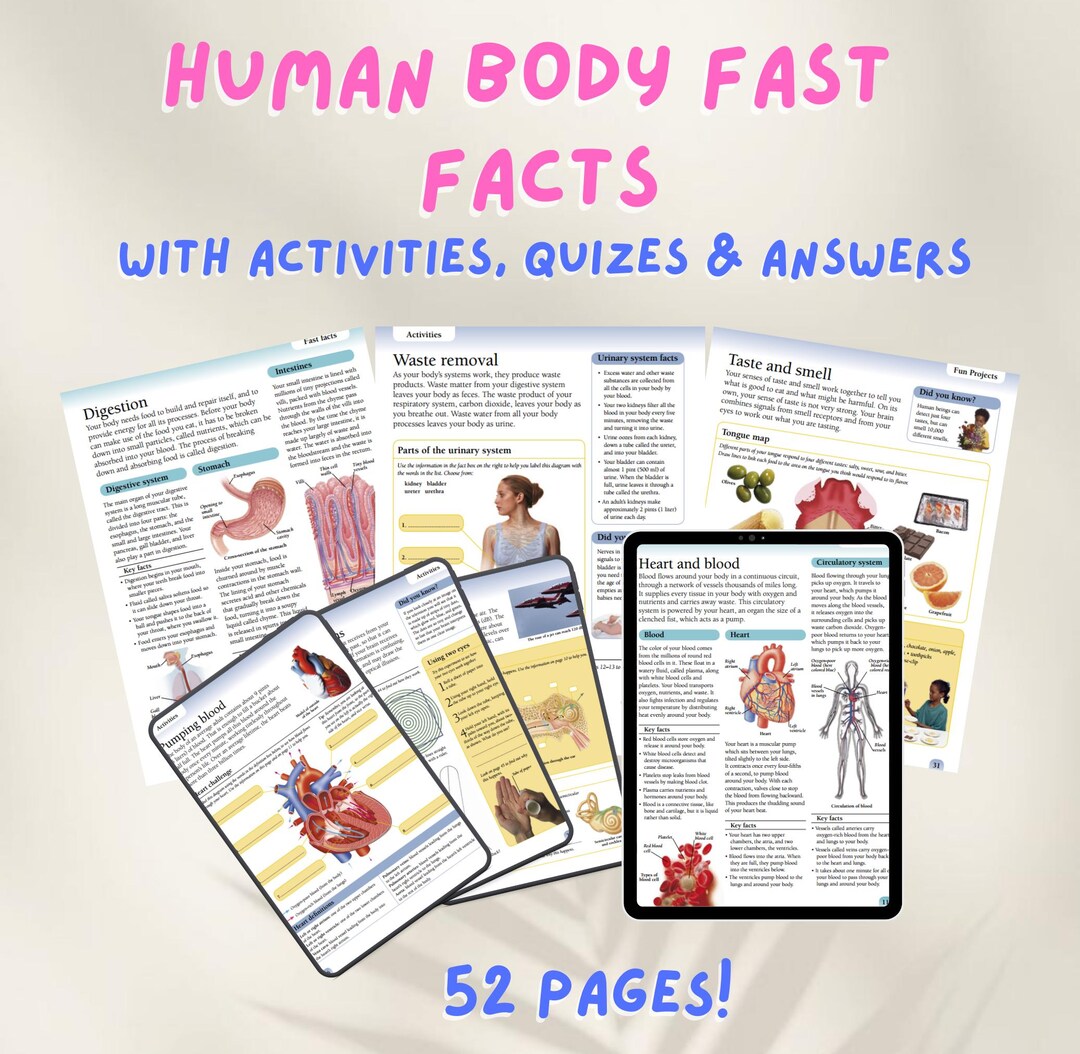 Human Body Fast Facts Printable Visual Aid Study Guide Essentials NCLEX ...