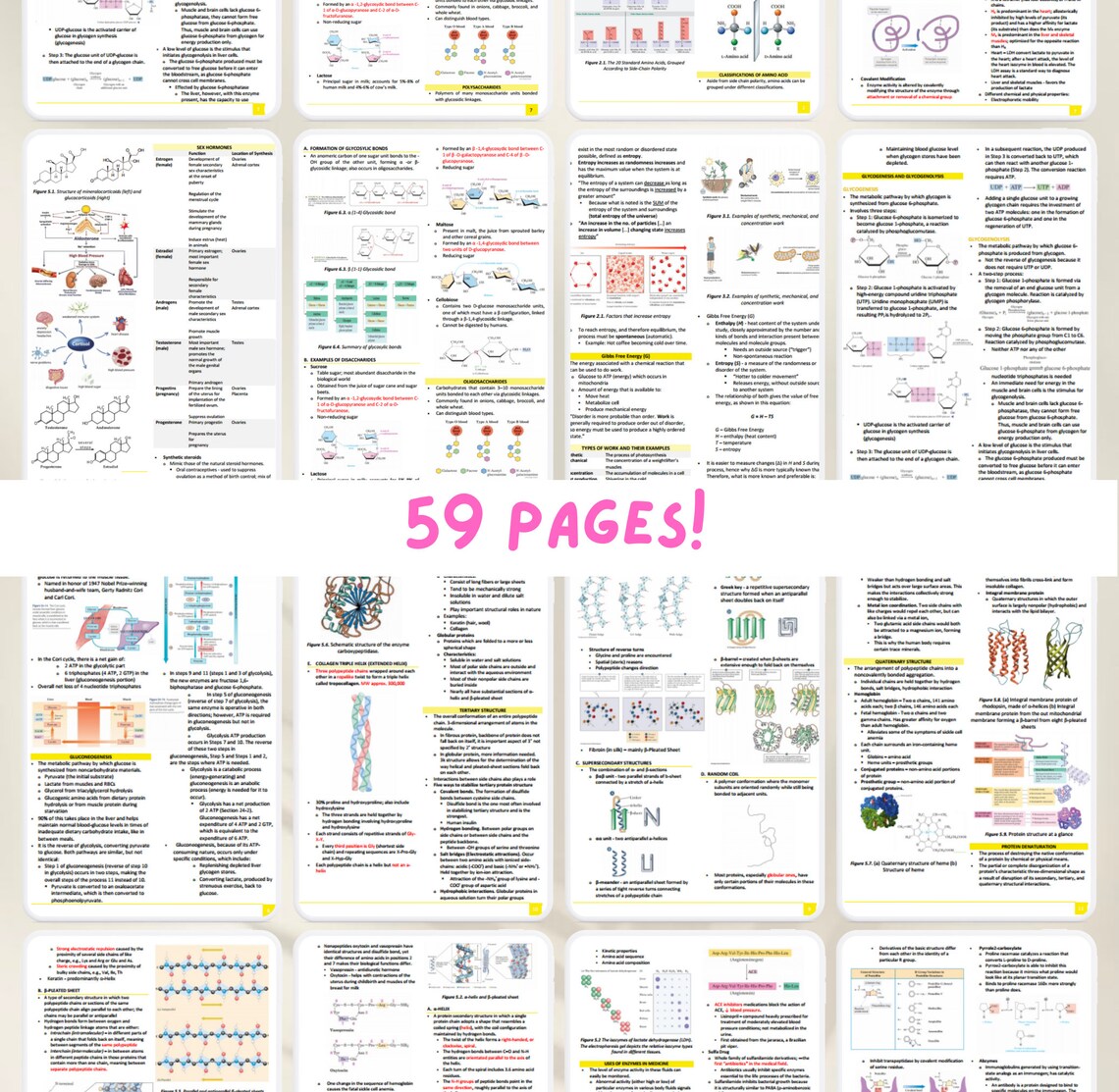 Biochemistry Lecture Notes Medical Technology Notes Printable Summary ...