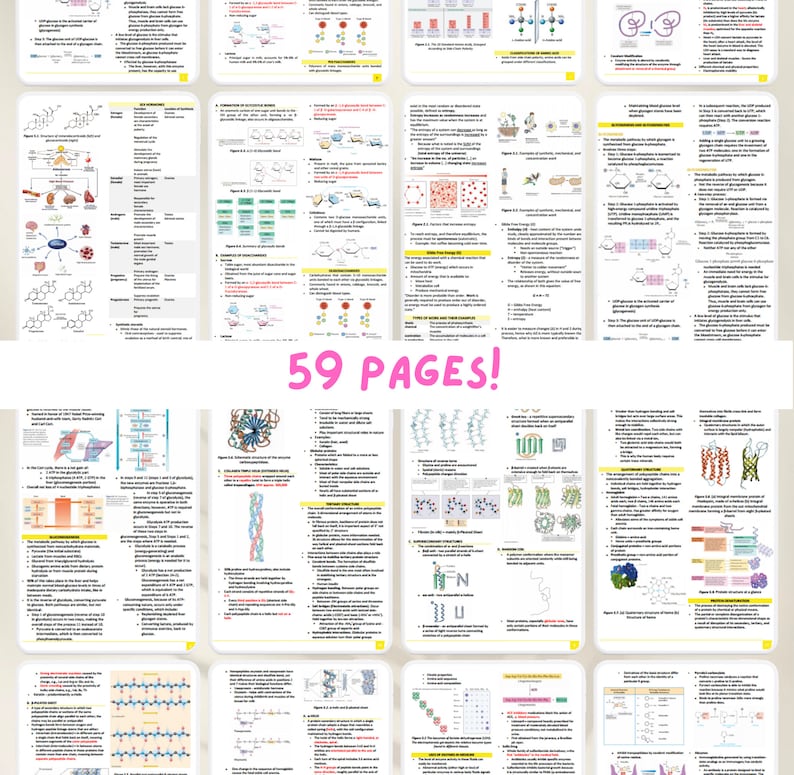 Biochemistry Lecture Notes: Medical Technology Study Guide (digital ...