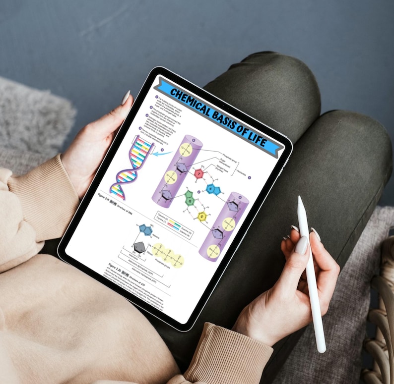 Anatomy & Physiology Chemical Basis of Life Notes Nursing School ...