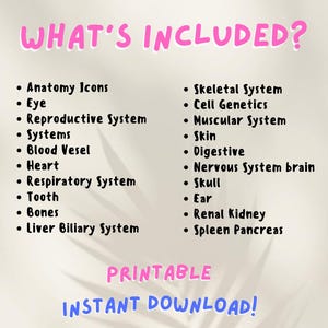 Anatomy & Biology Stickers | Human Body Illustrations | Printable ...