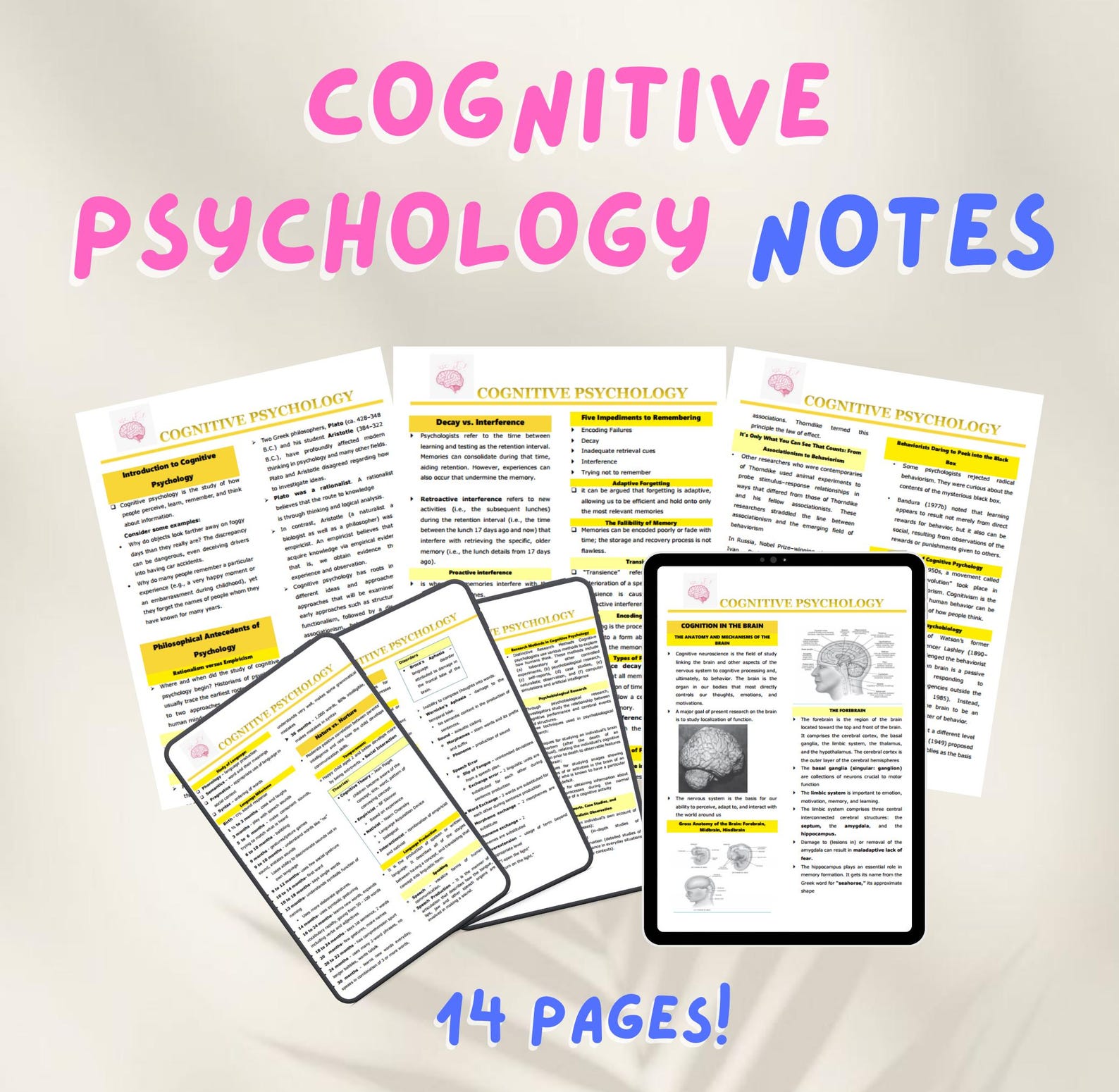 Cognitive Psychology Notes | Study Guide for Psychology & Med Students ...