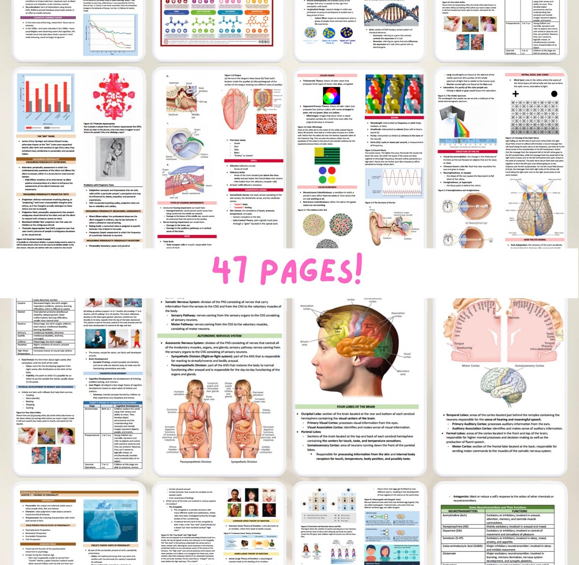 Introduction to Psychology Notes | Study Guide for Psychology & Med ...