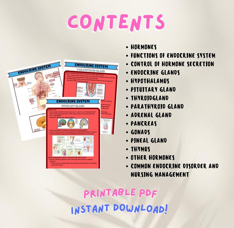 Endocrine System Notes: Anatomy & Physiology Nursing Study Guide ...