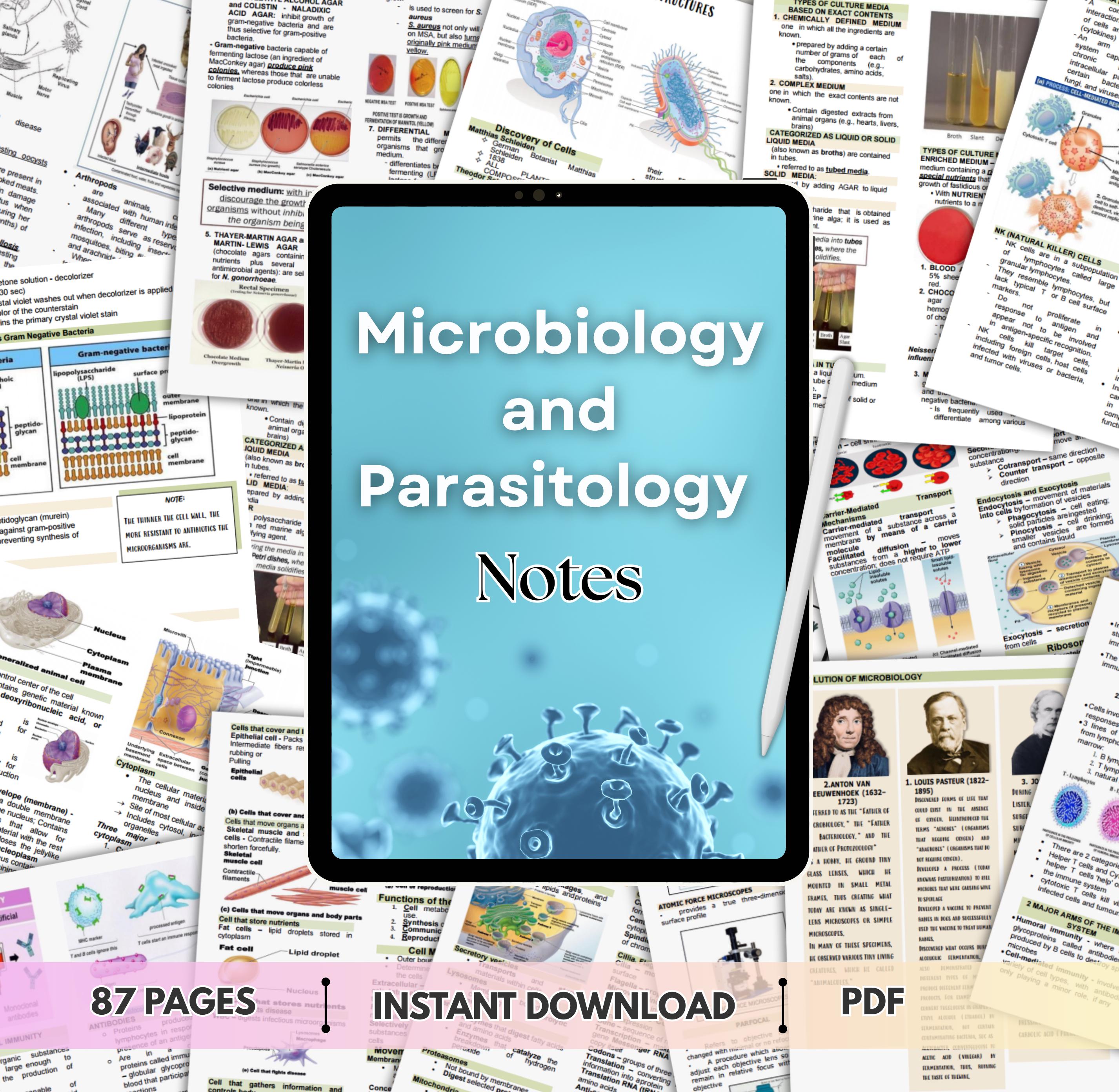 Microbiology and Parasitology Notes | Study Guide for Nursing & Med ...