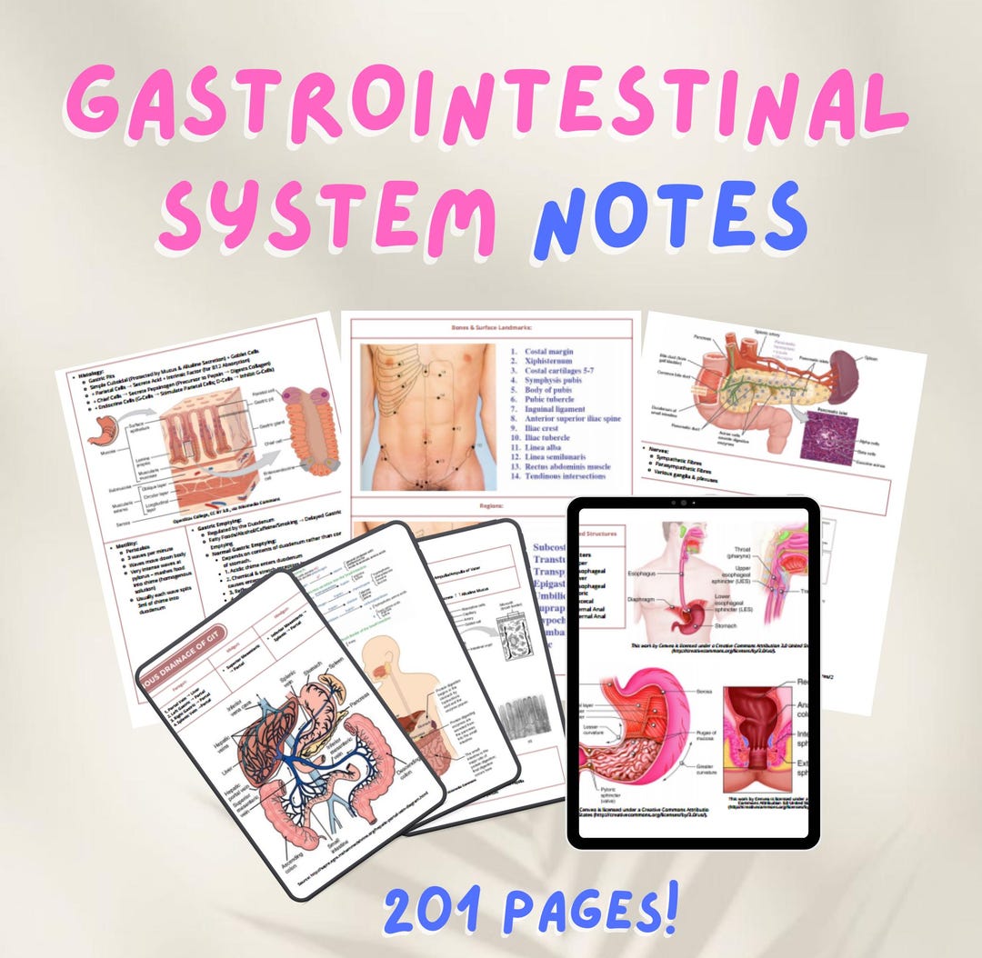 Gastrointestinal System Notes of Anatomy, Physiology, Pathophysiology ...