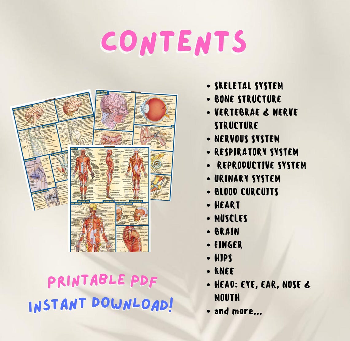 Human Anatomy Chart | Quick Study Guide for Nursing & Med Students ...