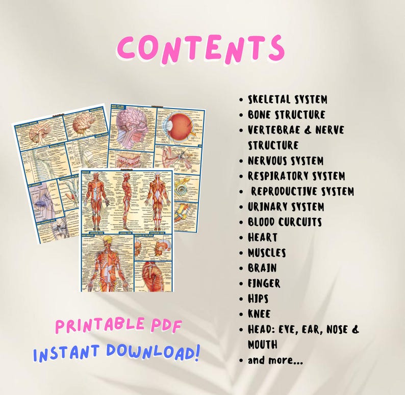 The Most Comprehensive All-in-one Anatomy Chart Human Anatomy Quick ...