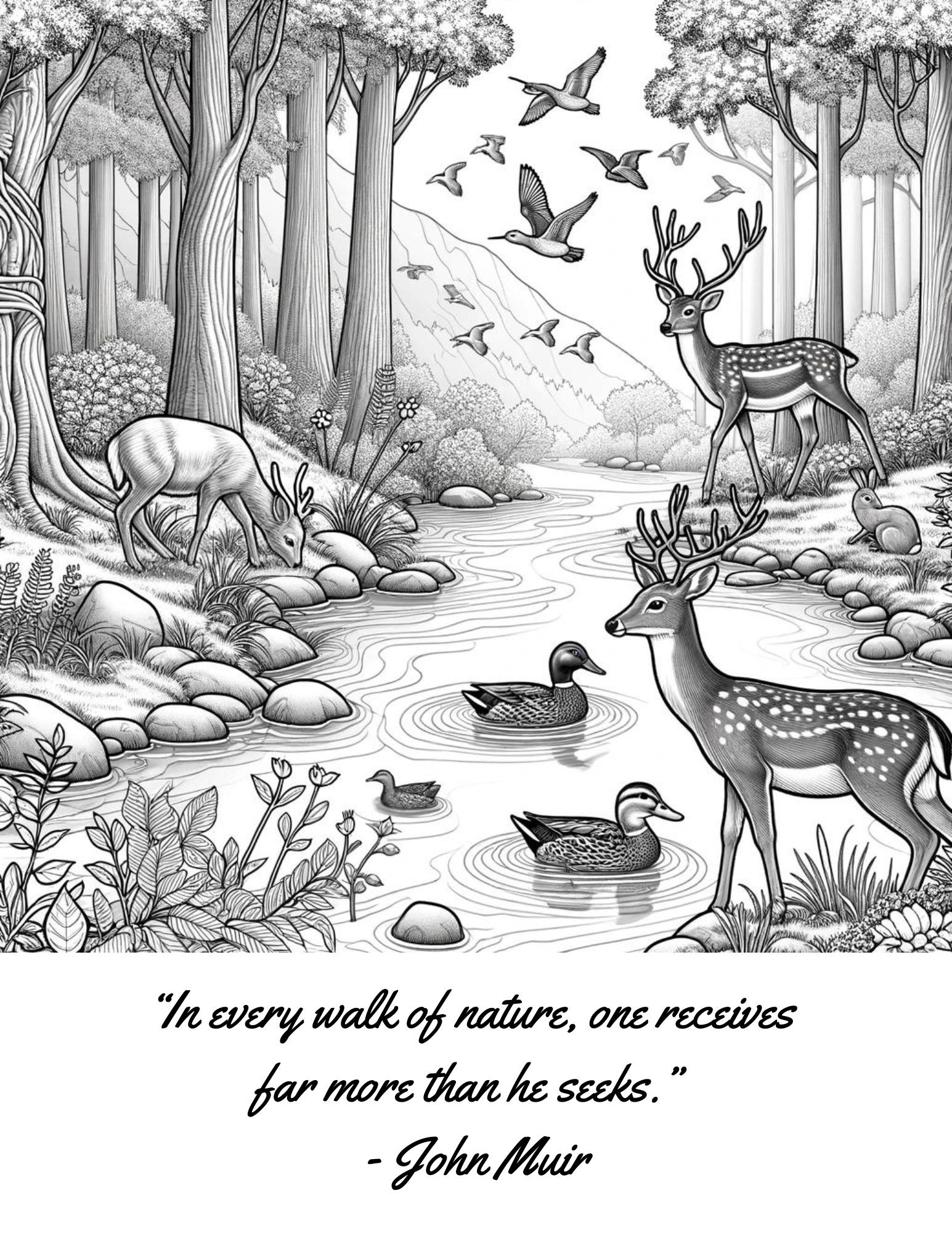 Mindfulness Coloring Book for Adults - Etsy