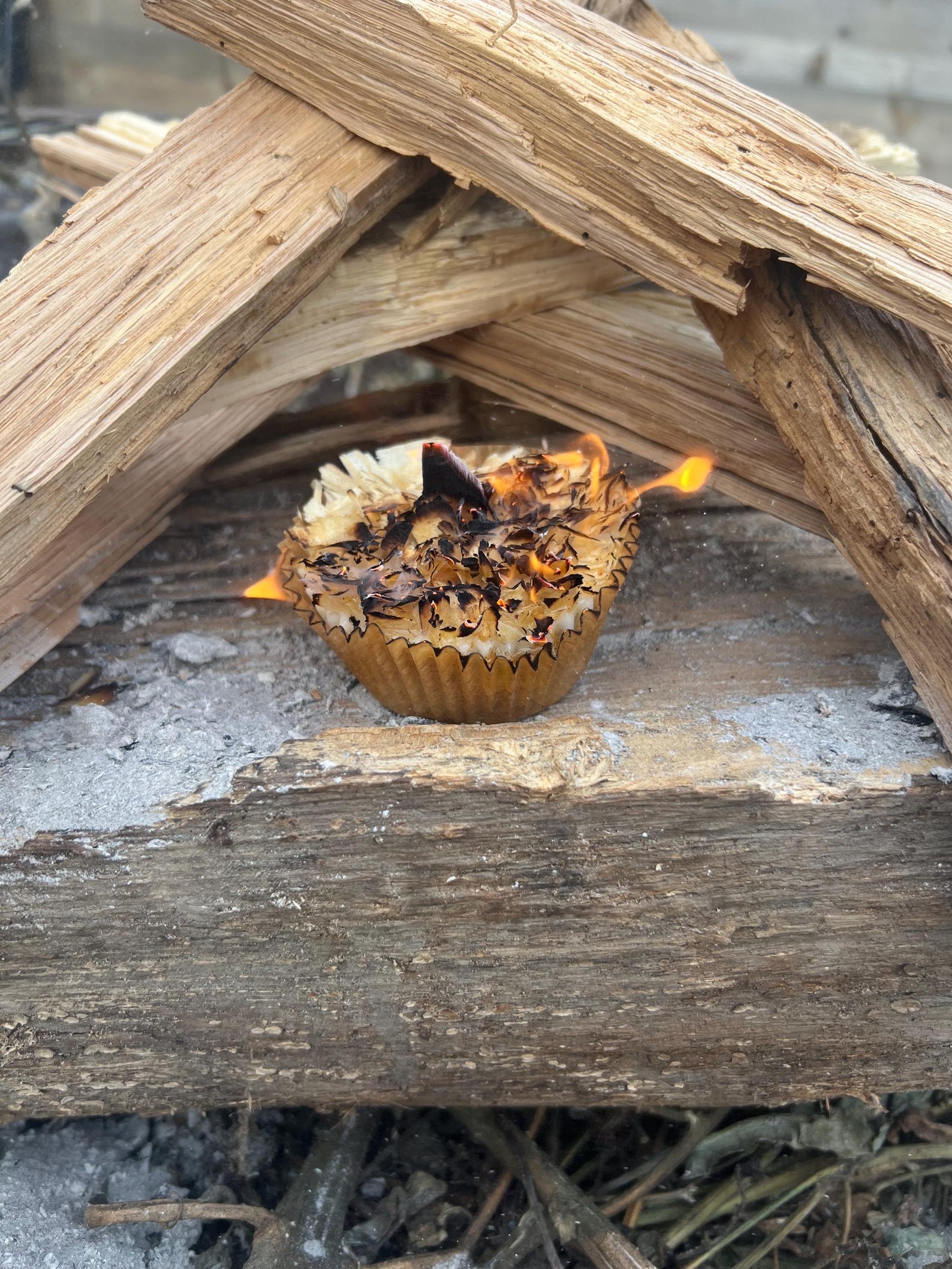 All Natural Fire Starters - Etsy