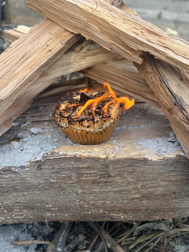 All Natural Fire Starters - Etsy