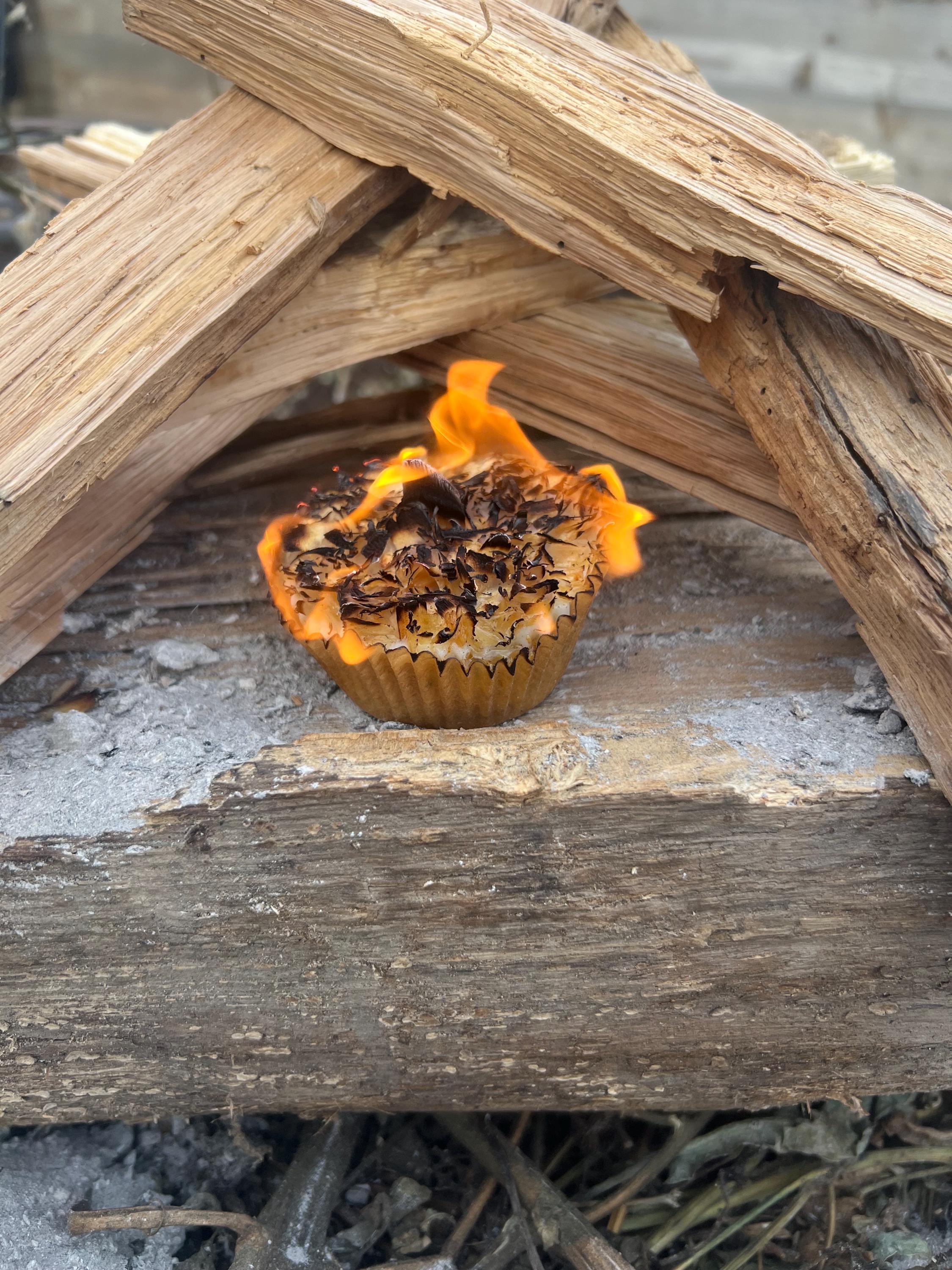 All Natural Fire Starters - Etsy