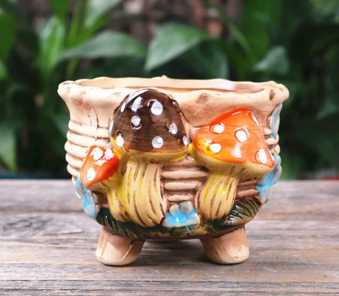 Rustic Succulent QUEEN Pot - Etsy