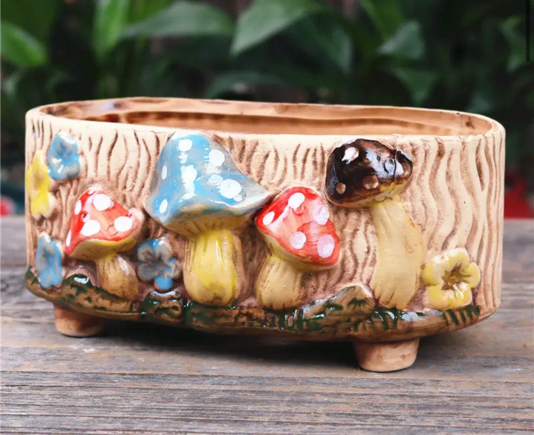 Rustic Mushroom Succulent NECTAR Pot - Etsy