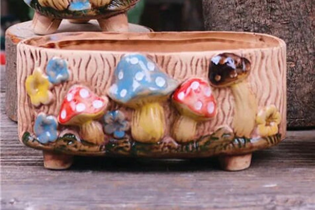 Rustic Mushroom Succulent NECTAR Pot - Etsy