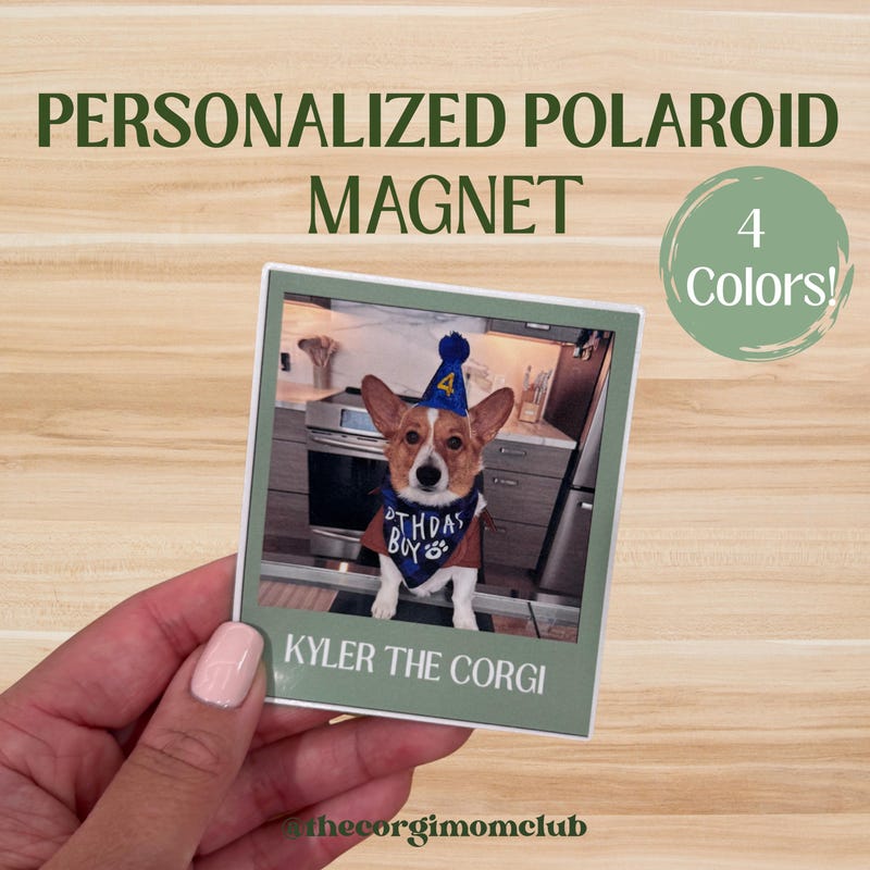 Gifts for Polaroid Lovers - 60+ Gift Ideas for 2026