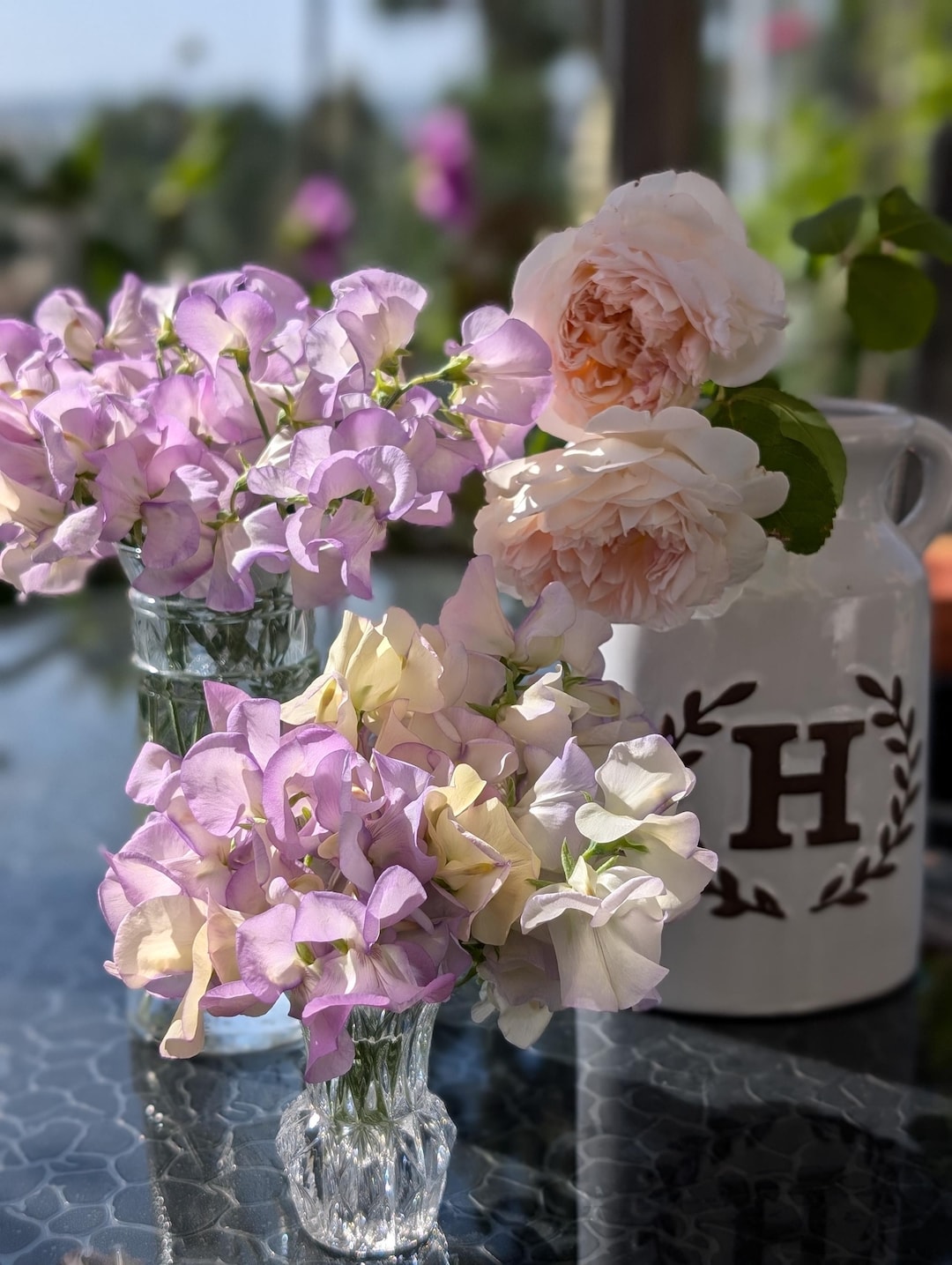 April in Paris Sweet Pea Seeds - Heirloom Fragrant Flowers - 15 Seeds ...