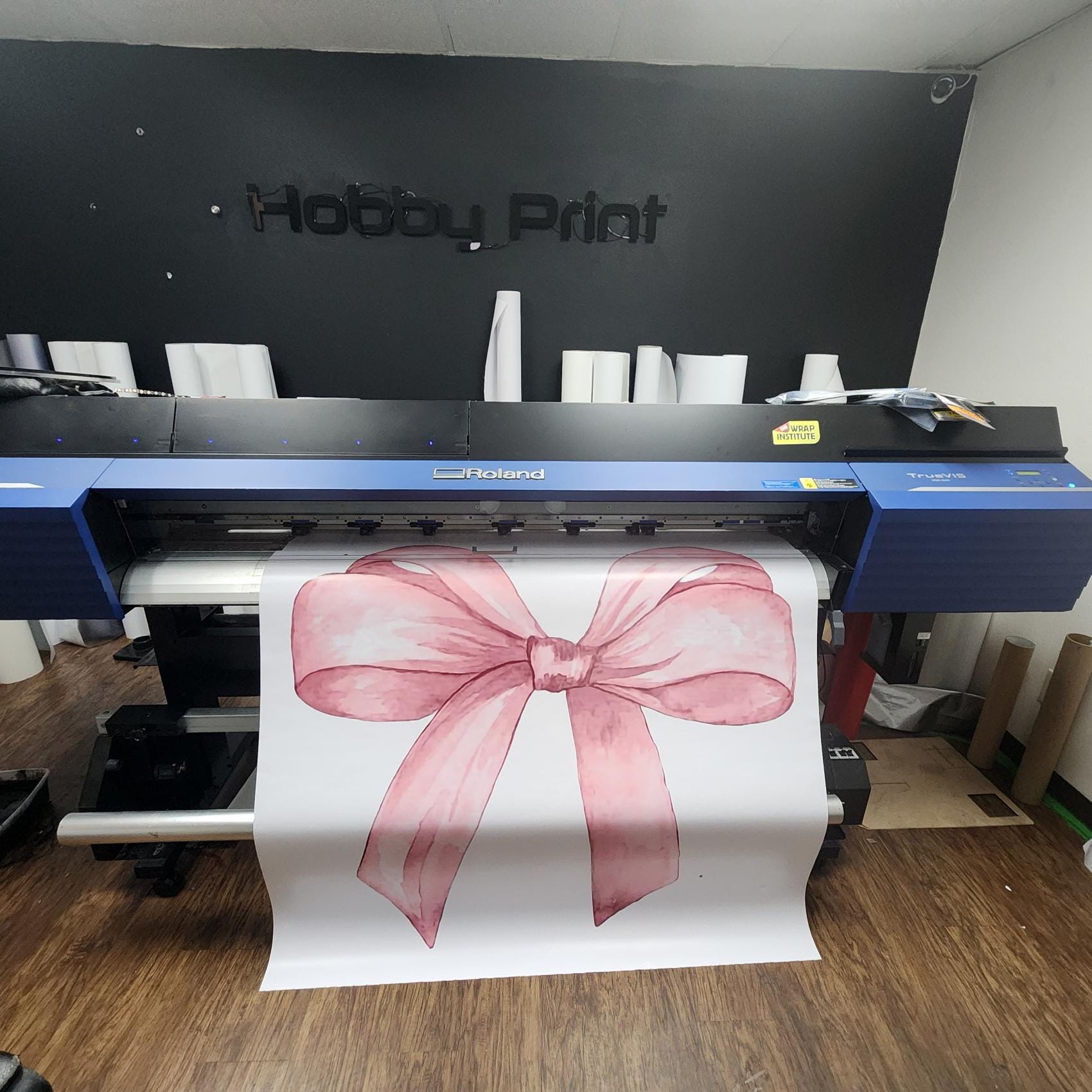 Custom Gang Sheet Vinyl Prints. Custom Characters, Backdrop, Portraits ...