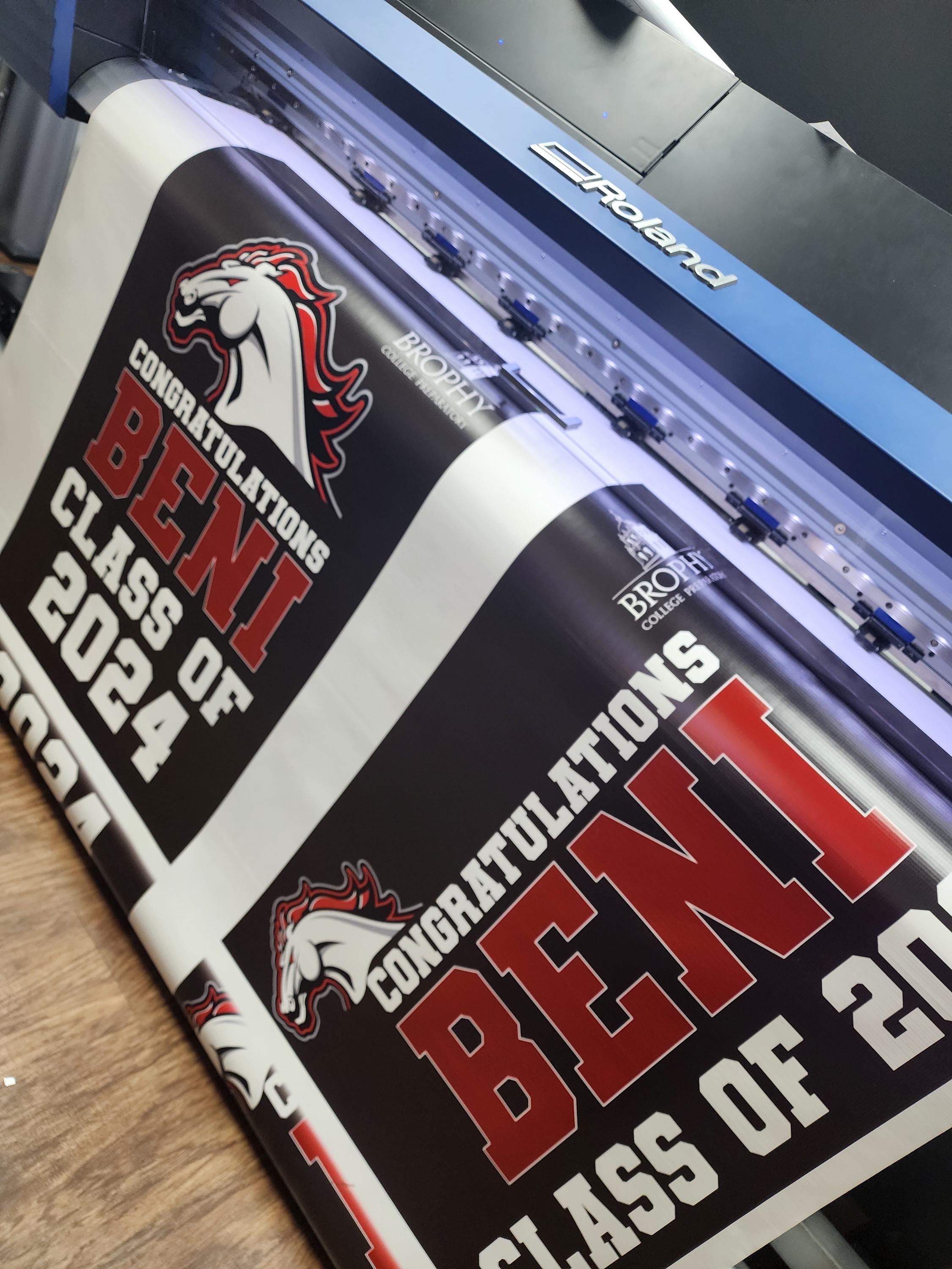 Custom Gang Sheet Vinyl Prints. Custom Characters, Backdrop, Portraits ...