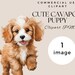 Cute Cavapoo Clipart Watercolor | SINGLE IMAGE | Digital Download ...