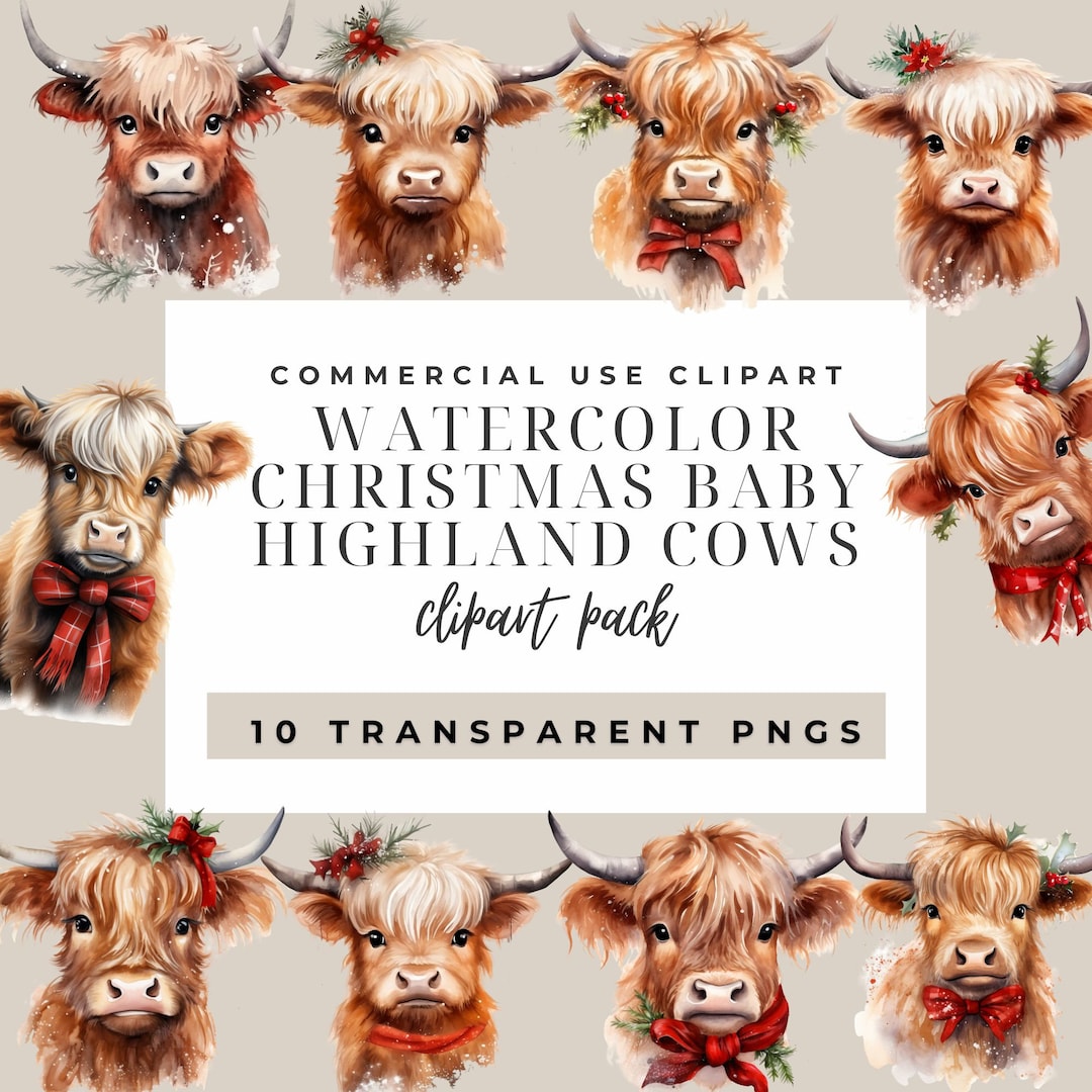 Watercolor Christmas Highland Cow Clipart, 10 PNG Graphics (digital ...