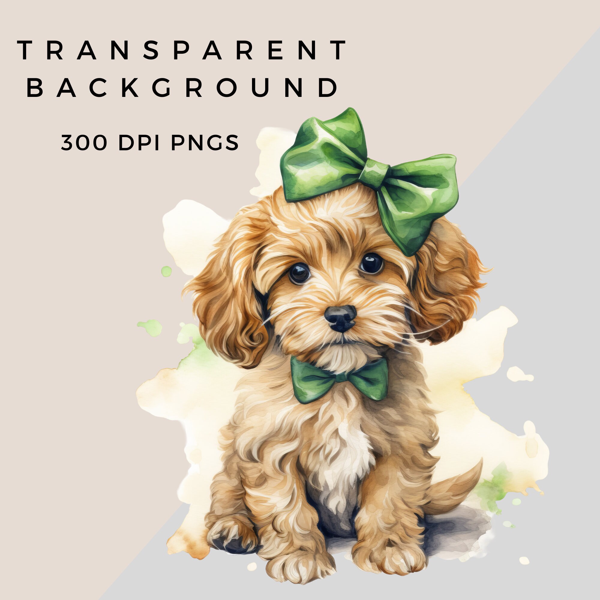 St. Patricks Day Cavapoo Puppy Watercolor Clipart | SINGLE IMAGE ...