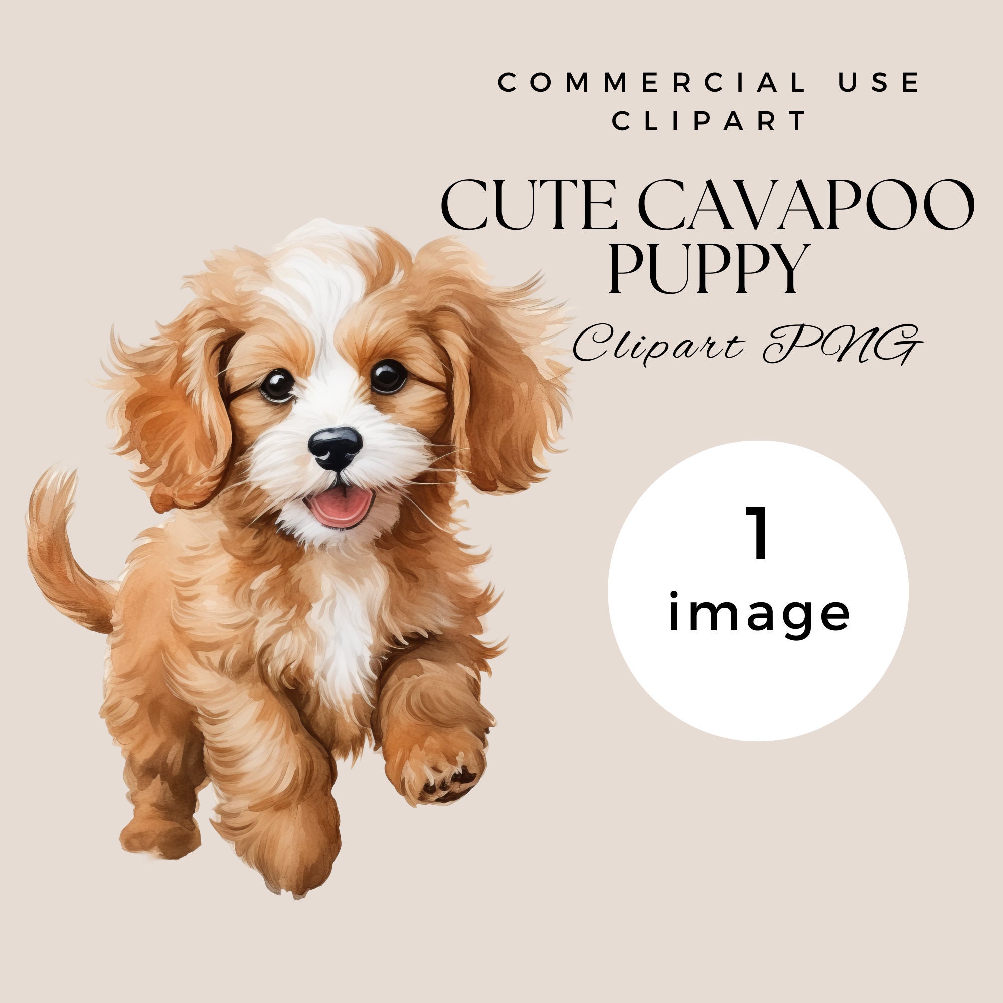 Cute Cavapoo Clipart Watercolor | SINGLE IMAGE | Digital Download ...