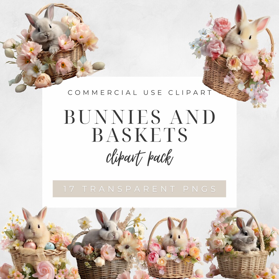 Easter Bunny in Baskets Clipart Pack - Etsy