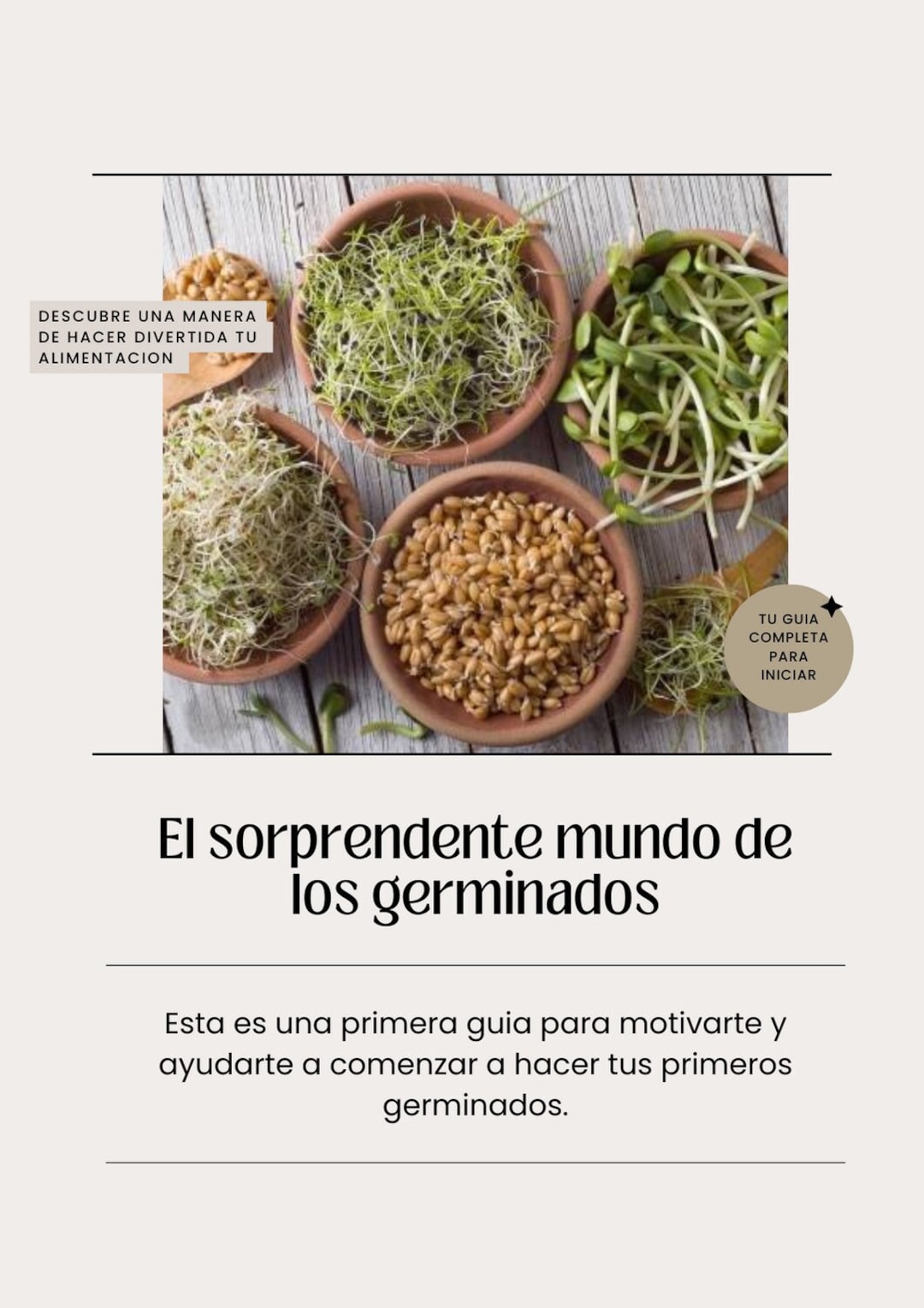 The Surprising World of Sprouts - Etsy