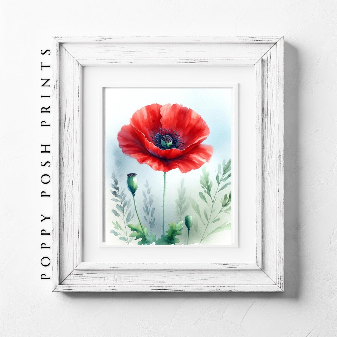 Red Poppy Watercolor Wall Art - Botanical Red Poppy Floral Home Decor ...
