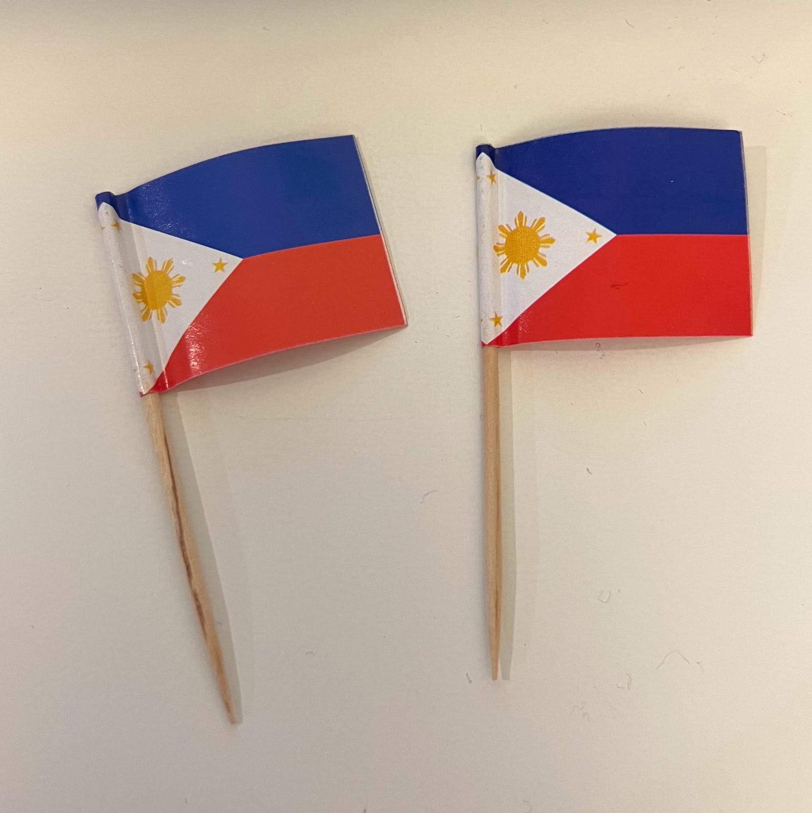 DIY Laser Cut Wooden Jeepney Puzzle Kit: Filipino Craft Project ...