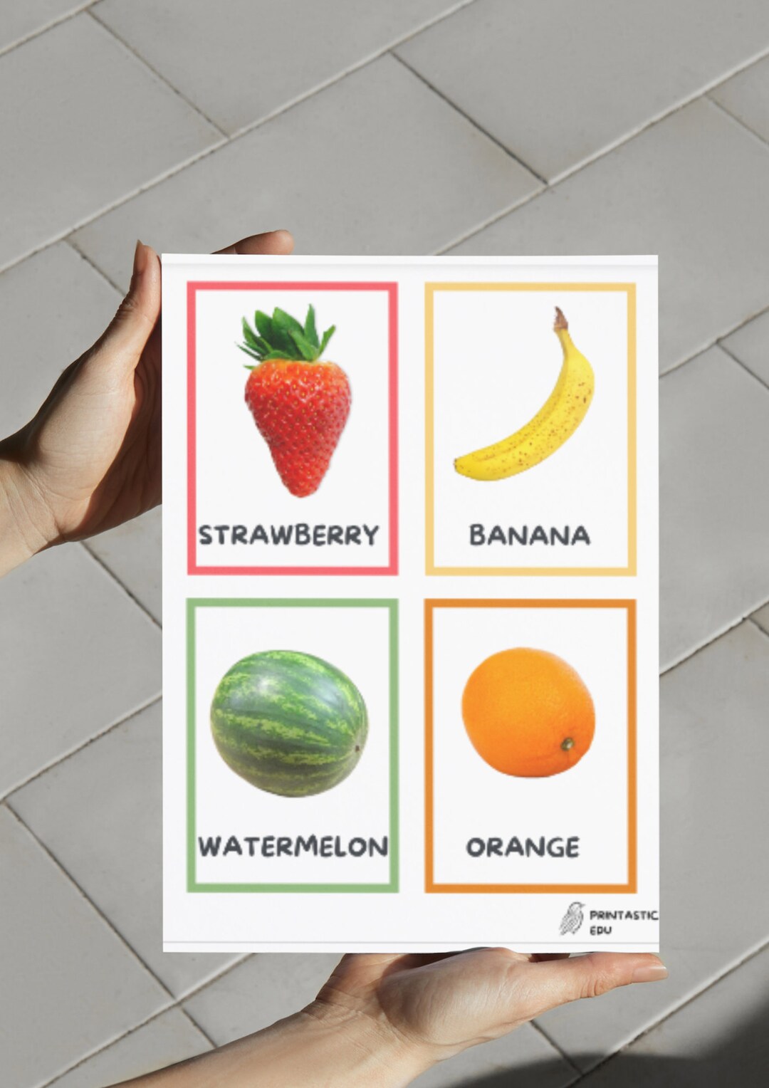 Educational Printable Fruits Cards EN - Etsy