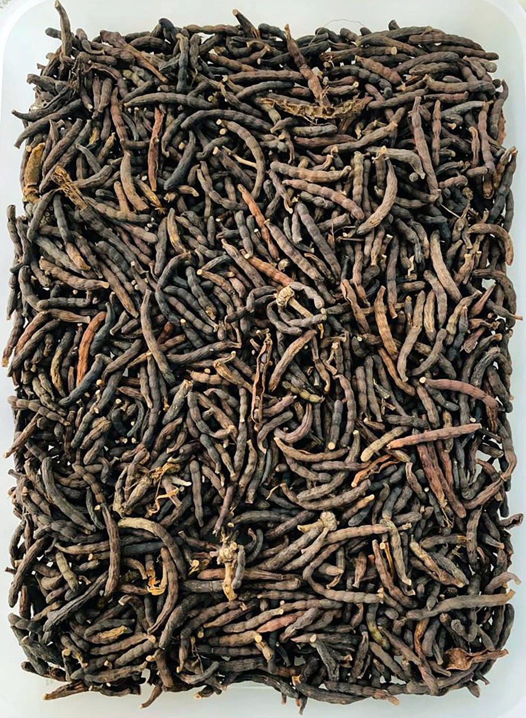 Selim Pepper, Long Grain Pepper - Xylopia Aethiopica Pods Guinea Pepper ...