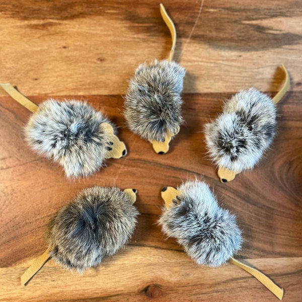 Cat Toy - Etsy