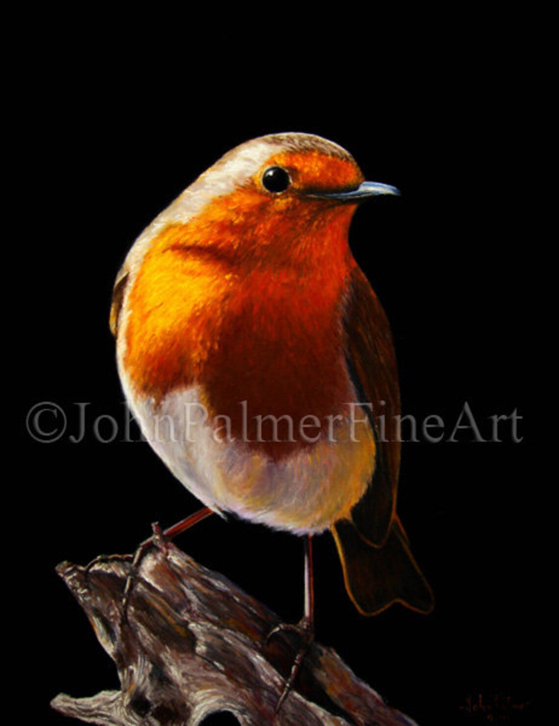 Robin Painting, Robin Picture, Robin Print From My Original Pastel ...