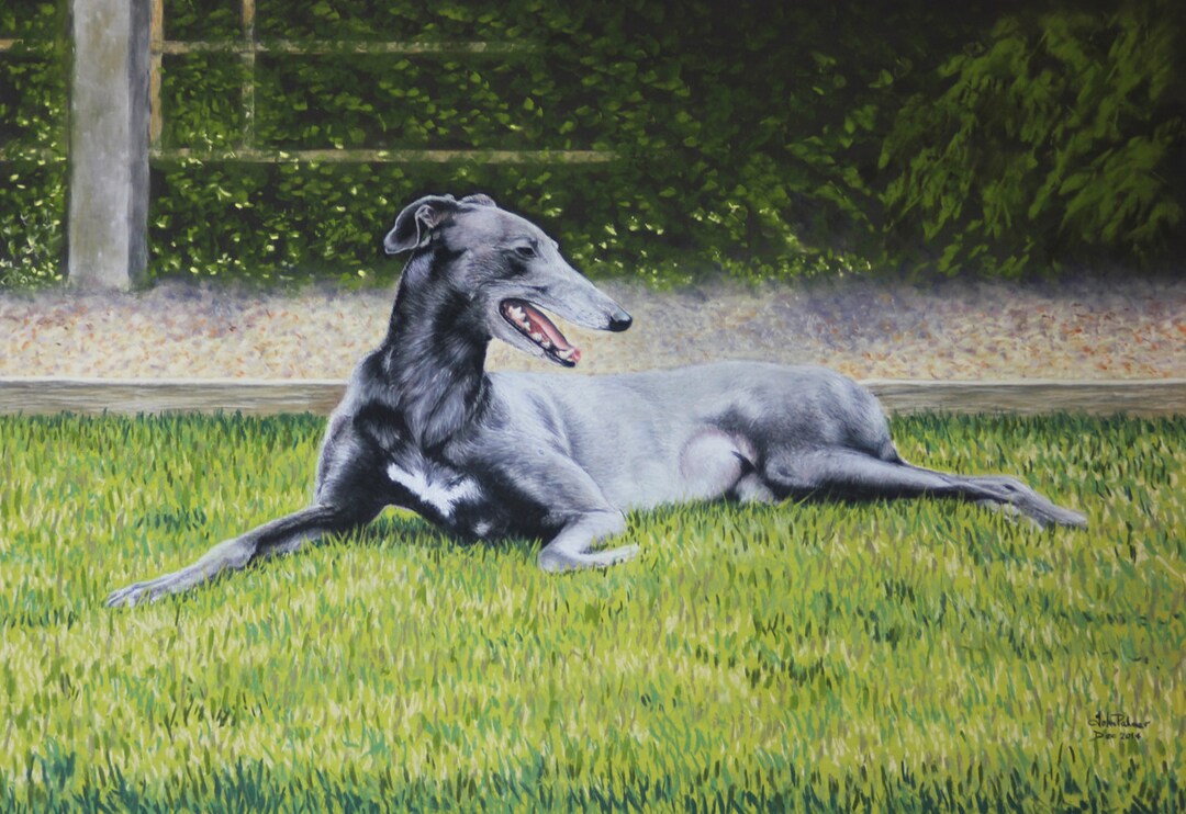 Greyhound Picture, Greyhound Gift, Doggy Gift, Greyhound Pet Portrait ...