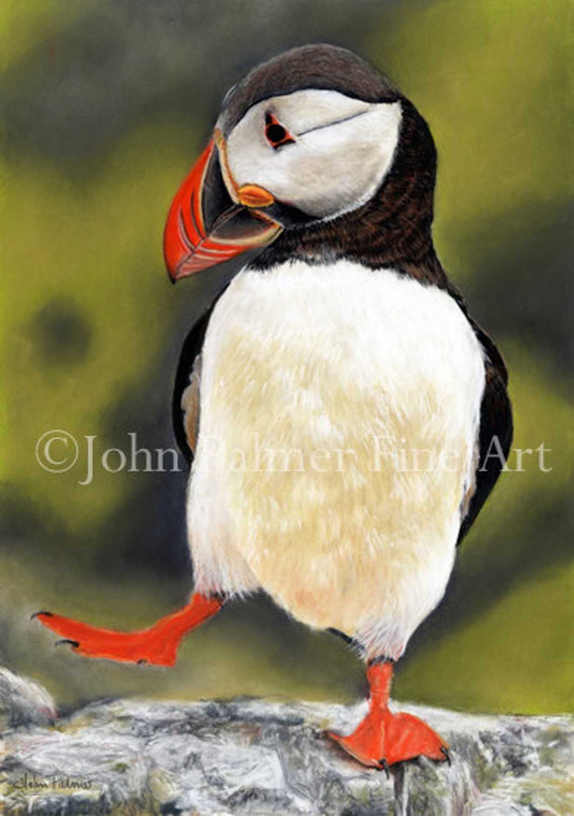 Puffin Picture, Puffin Gift, Party Puffin Greeting Card From My ...