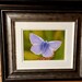 Blue Morpho Butterfly, Original Framed Pastel Painting, Overall Size 16 ...
