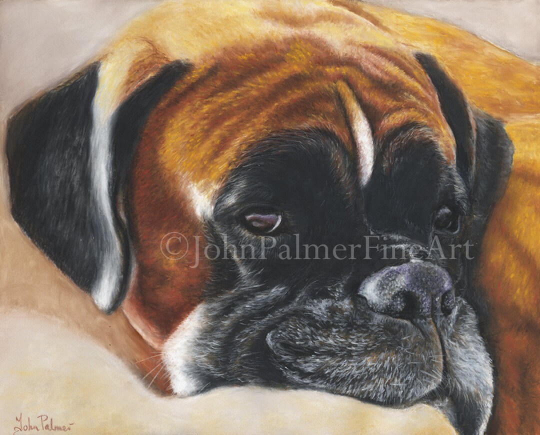 Boxer Dog Picture Pet Portrait - Print From My Original Pastel Painting ...