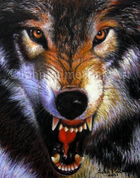 Wolf Snarling Front View