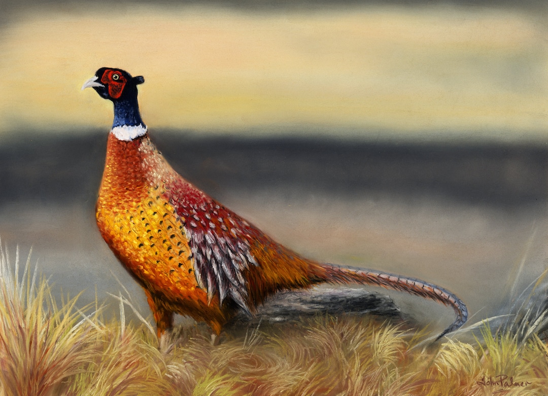 Pheasant Painting, Game Bird Painting, Autumn Glory, Pheasant, Original ...
