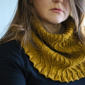 Knitting Pattern: Nouverie Cowl | Instructions to Knit Art Nouveau ...