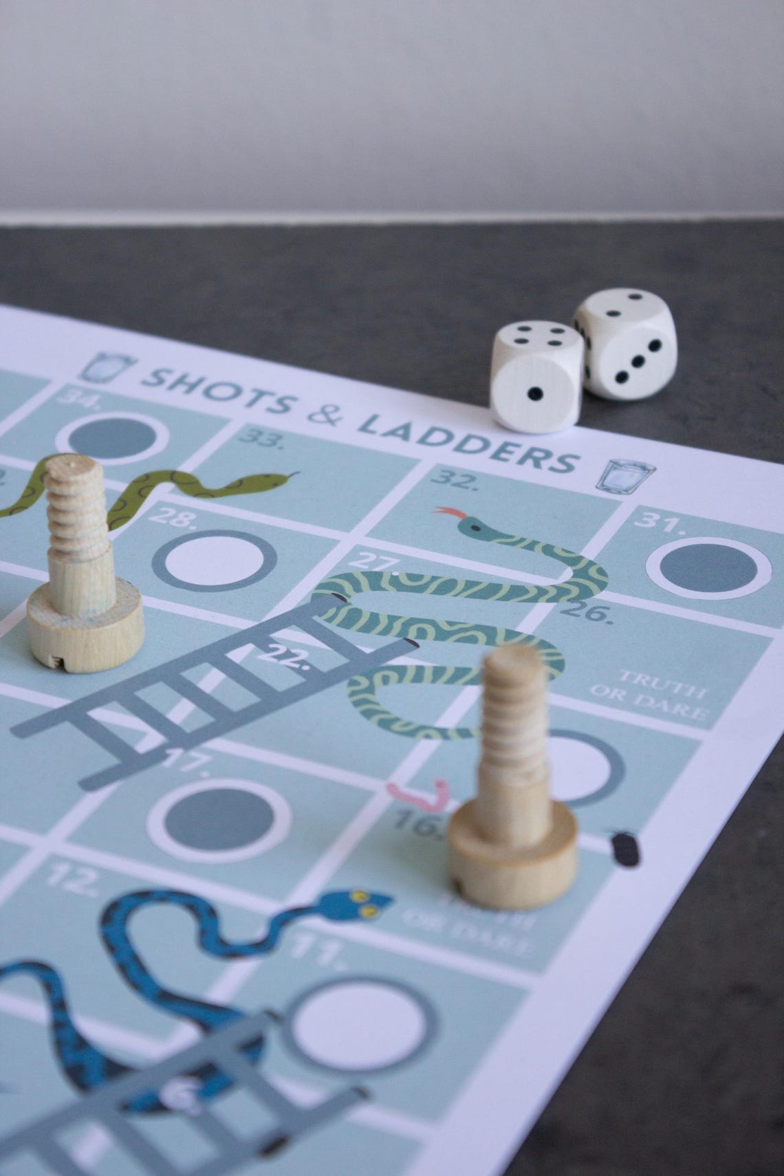 Shots and Ladders Drinking Game, Adult Party PDF, Bachelorette Girls ...