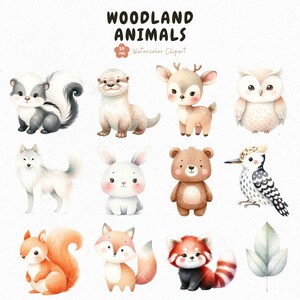 Woodland Animals Watercolor Clipart, Watercolor Animals Clipart ...