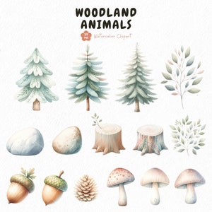 Woodland Animals Watercolor Clipart, Watercolor Animals Clipart ...