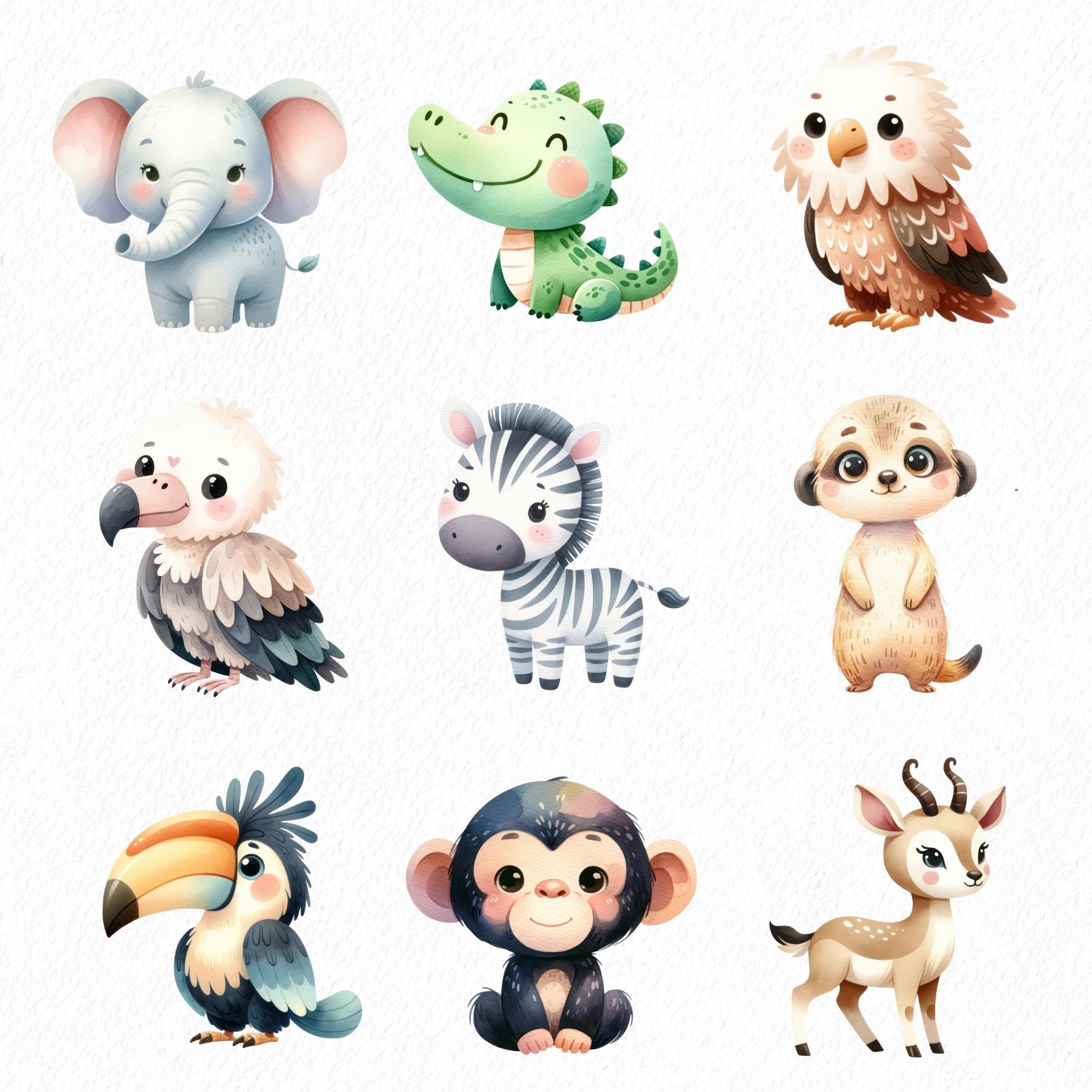 Safari Animals, Jungle Adventure Clipart, Cute Safari Clipart Bundle ...