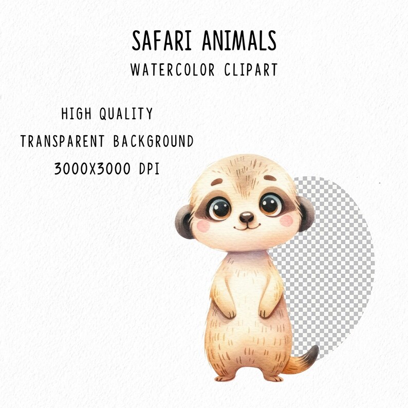 Safari Animals, Jungle Adventure Clipart, Cute Safari Clipart Bundle ...