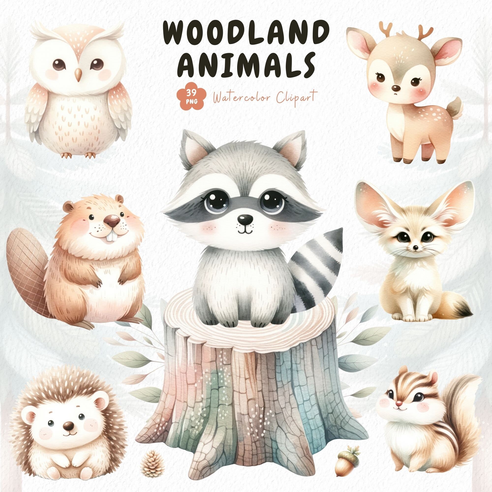 Woodland Animals Watercolor Clipart, Watercolor Animals Clipart ...
