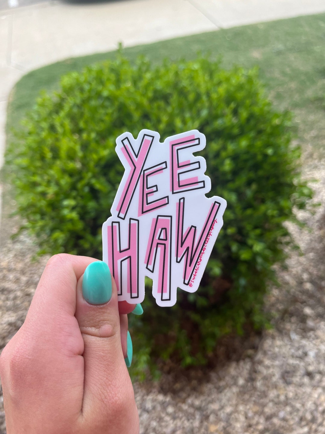 Yee Haw Sticker - Etsy