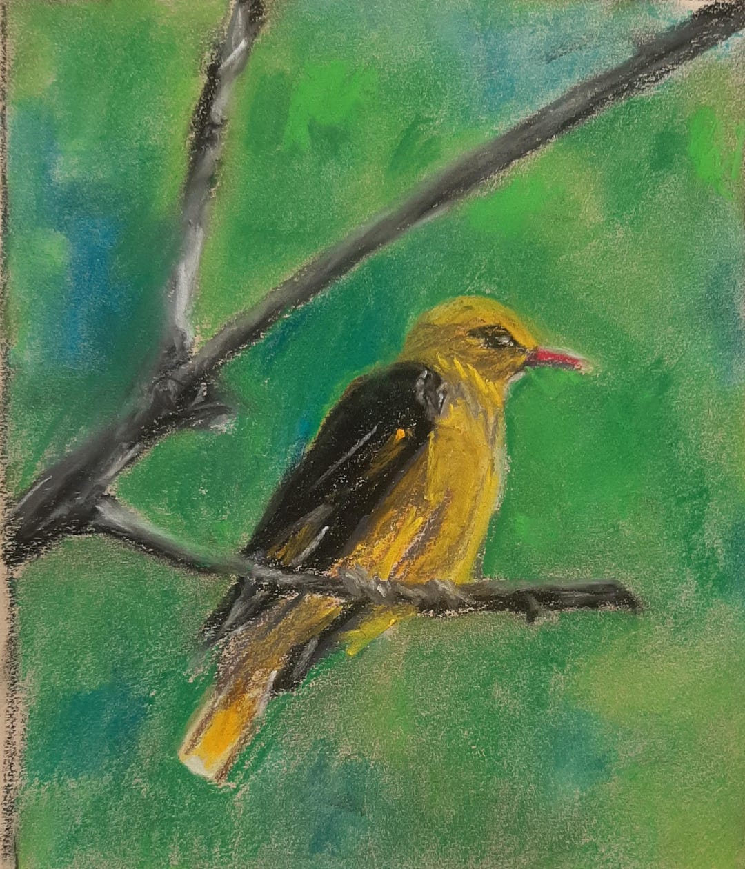 Oriole Bird in a Spring Forest, the Picture is Painted With Pastel ...